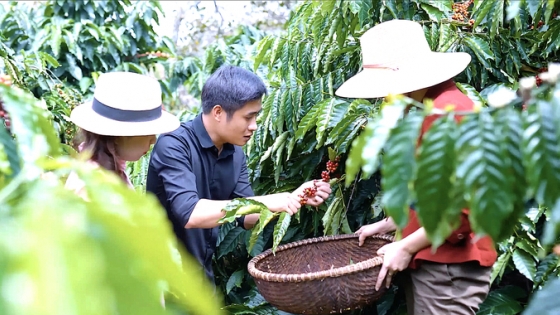 Ông chủ Enjoy Coffee kiên trì cùng nông dân trồng cà phê hữu cơ ...